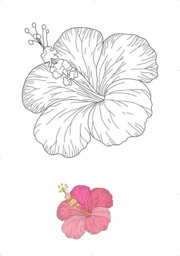 Exploreaza Frumusetea Naturii: Planse de Colorat cu Flori pentru Copii ...
