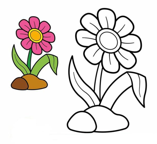 Exploreaza Frumusetea Naturii: Planse de Colorat cu Flori pentru Copii ...